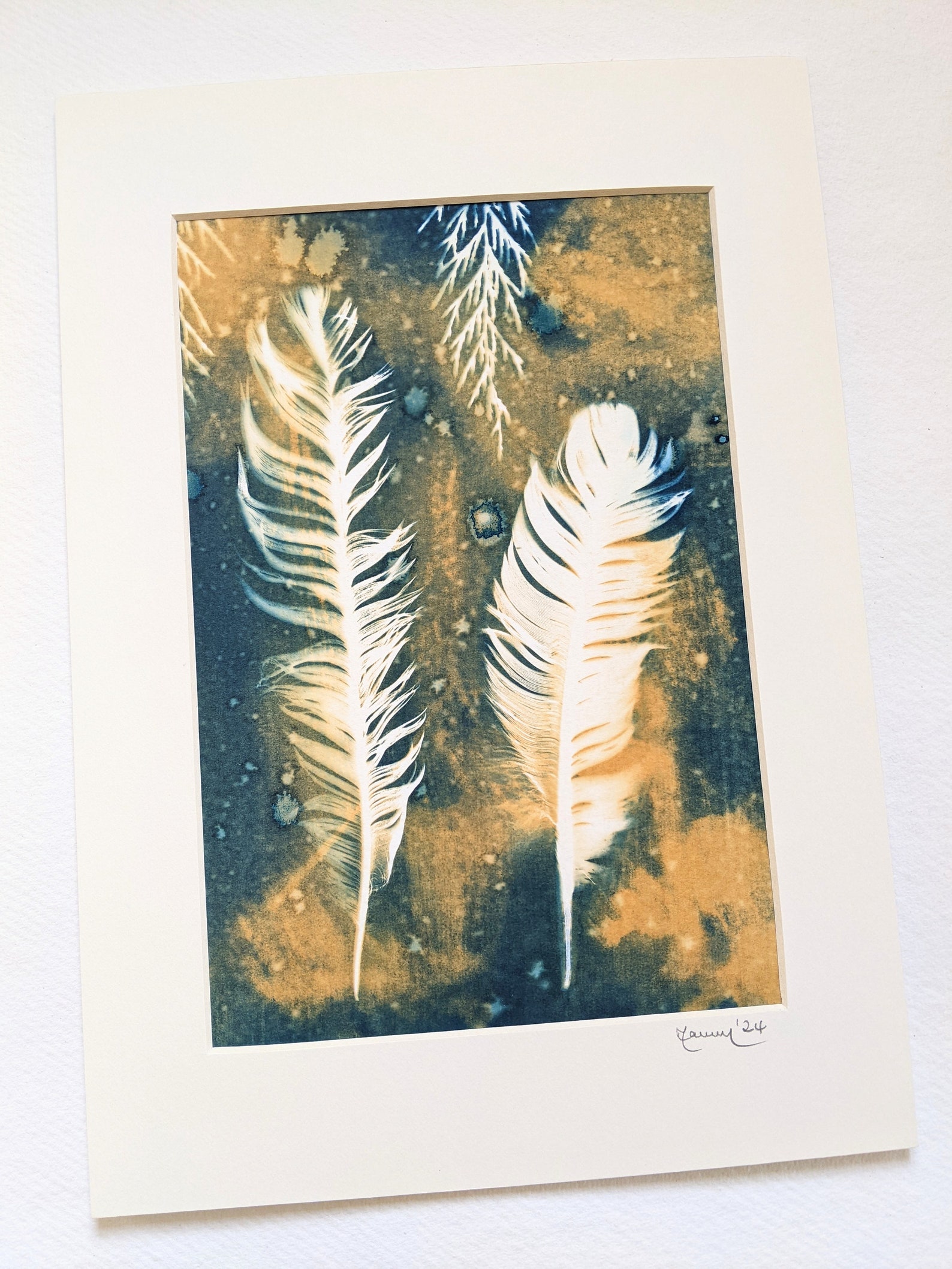 A Semi-bleached Wet Cyanotype of Two Feathers and Port Orford Cedar ...