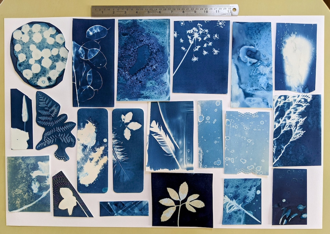 20 Cyanotype Pieces for Scrapbooks Bookmarks Original Art - Etsy