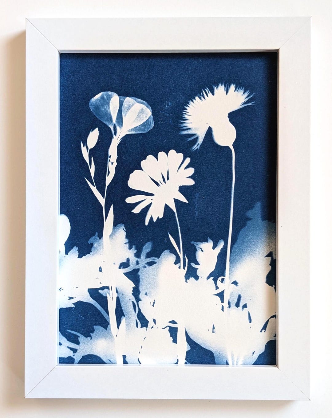 Scarlet Flax Cyanotype: Handmade Botanical Art Print, 7x5 Watercolor - Etsy