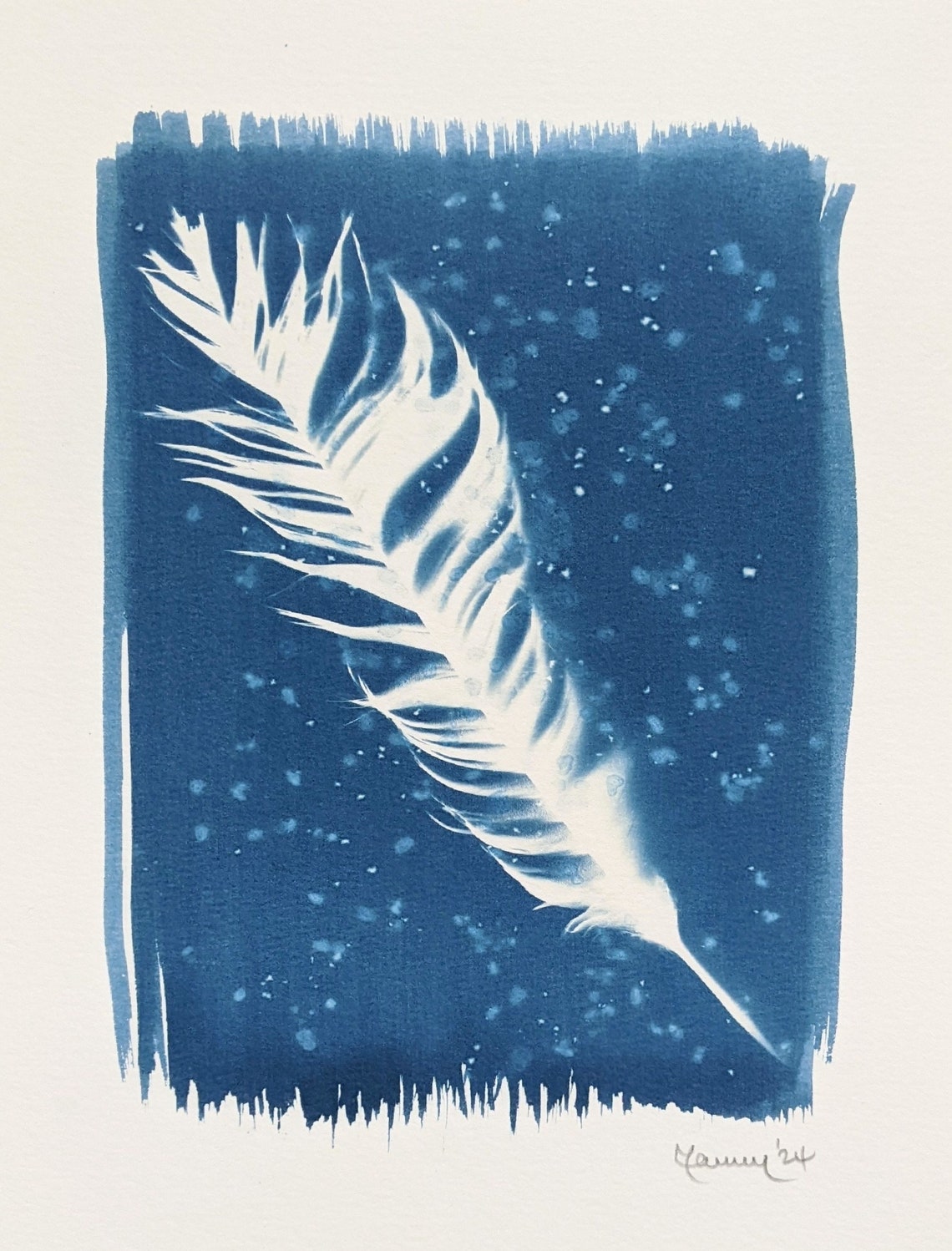 An Original Cyanotype of a Single White Feather, With Sea Salt ...