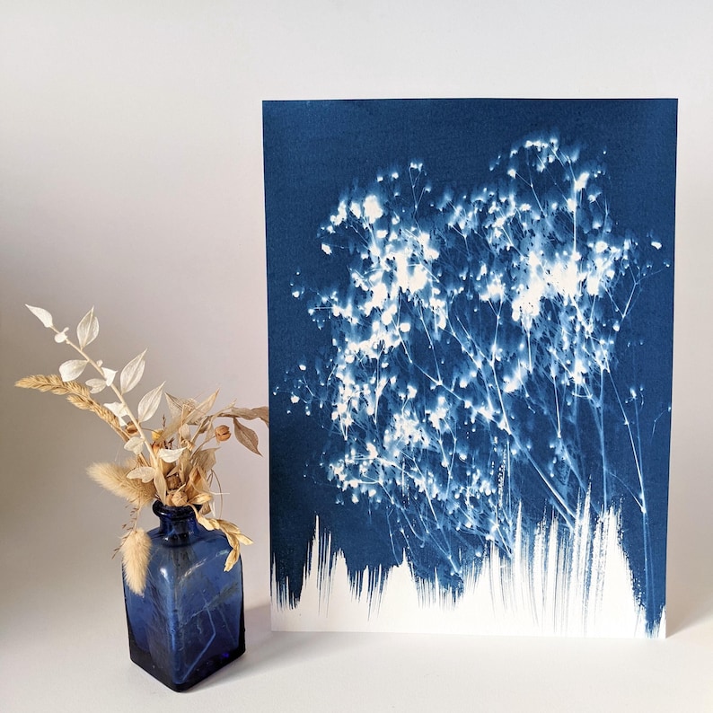 Cyanotype of Gypsophila, or Baby's Breath, on Watercolour Paper. - Etsy