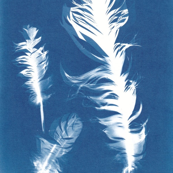 Photogram - Etsy
