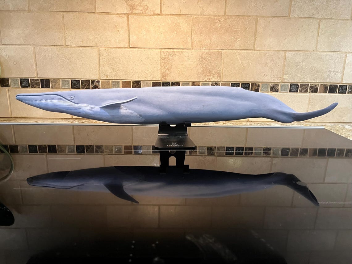 Blue Whale Carving - Etsy