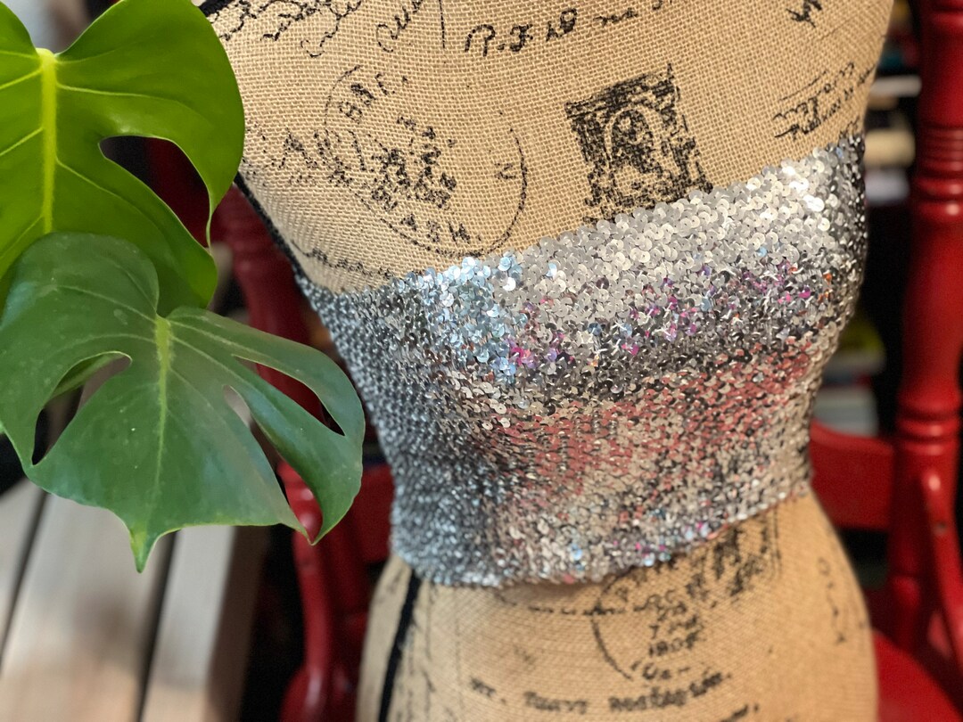 Silver Sequin Bandeau Top Strapless Bra Top Shiny Sequin Party