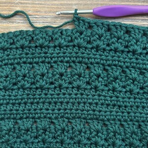 CROCHET PATTERN - Pinecrest Dishcloth Pattern - Crochet Dishcloth ...