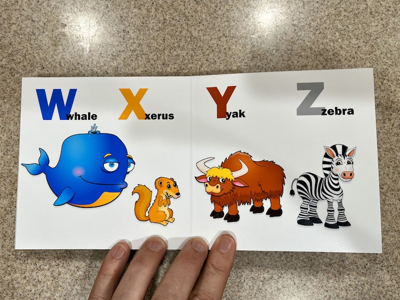Personalized Animal Alphabet Board Book: Baby Toddler Abcs - Etsy