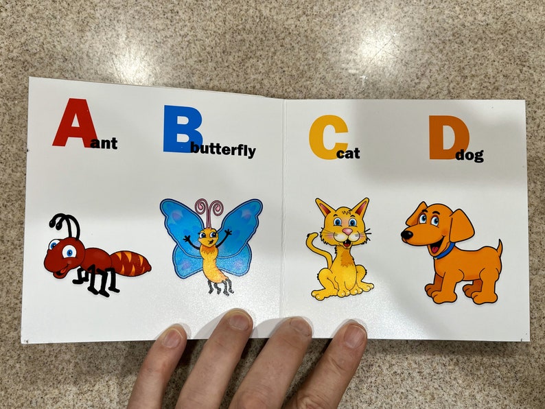 Personalized Animal Alphabet Board Book: Baby Toddler Abcs - Etsy