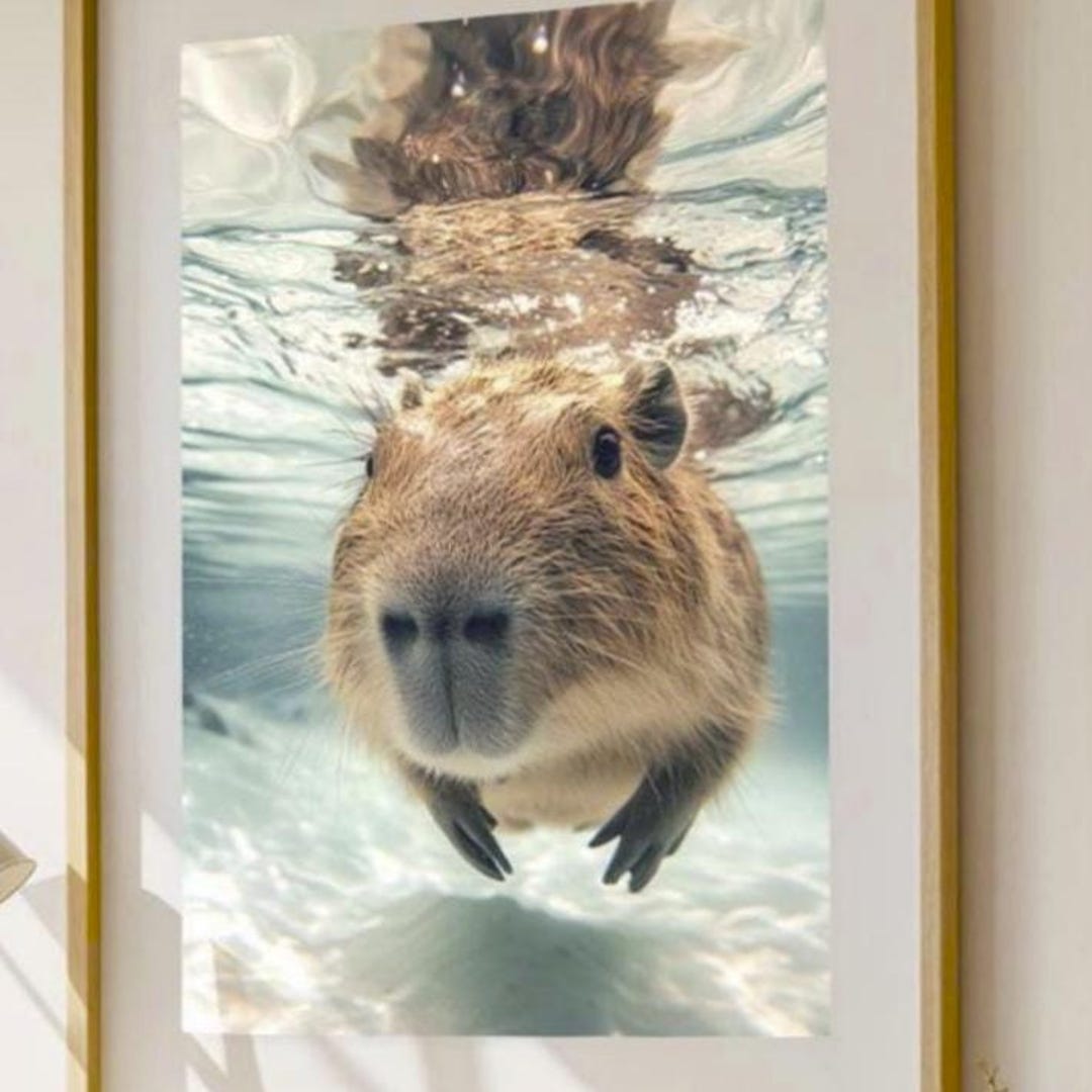 Capybara Swimming Artwork - Underwater Capybara Wall Art - Bathroom ...