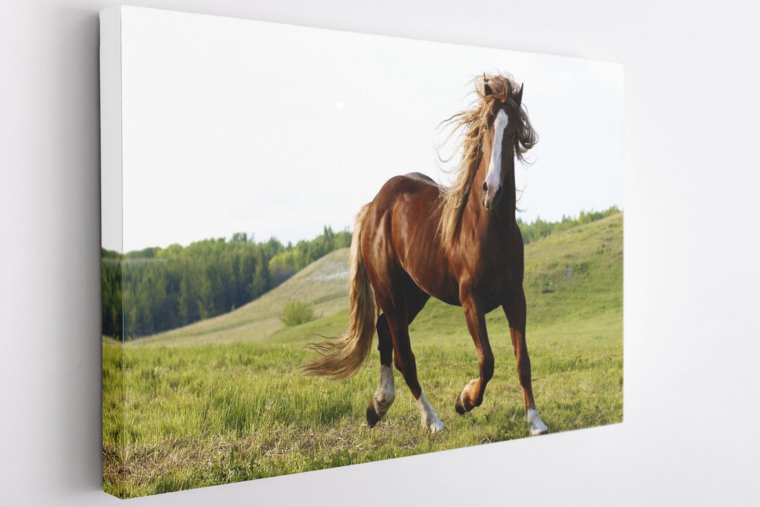 Running Horse, Canvas Wall Art Print | Poster Print Decor for Home ...