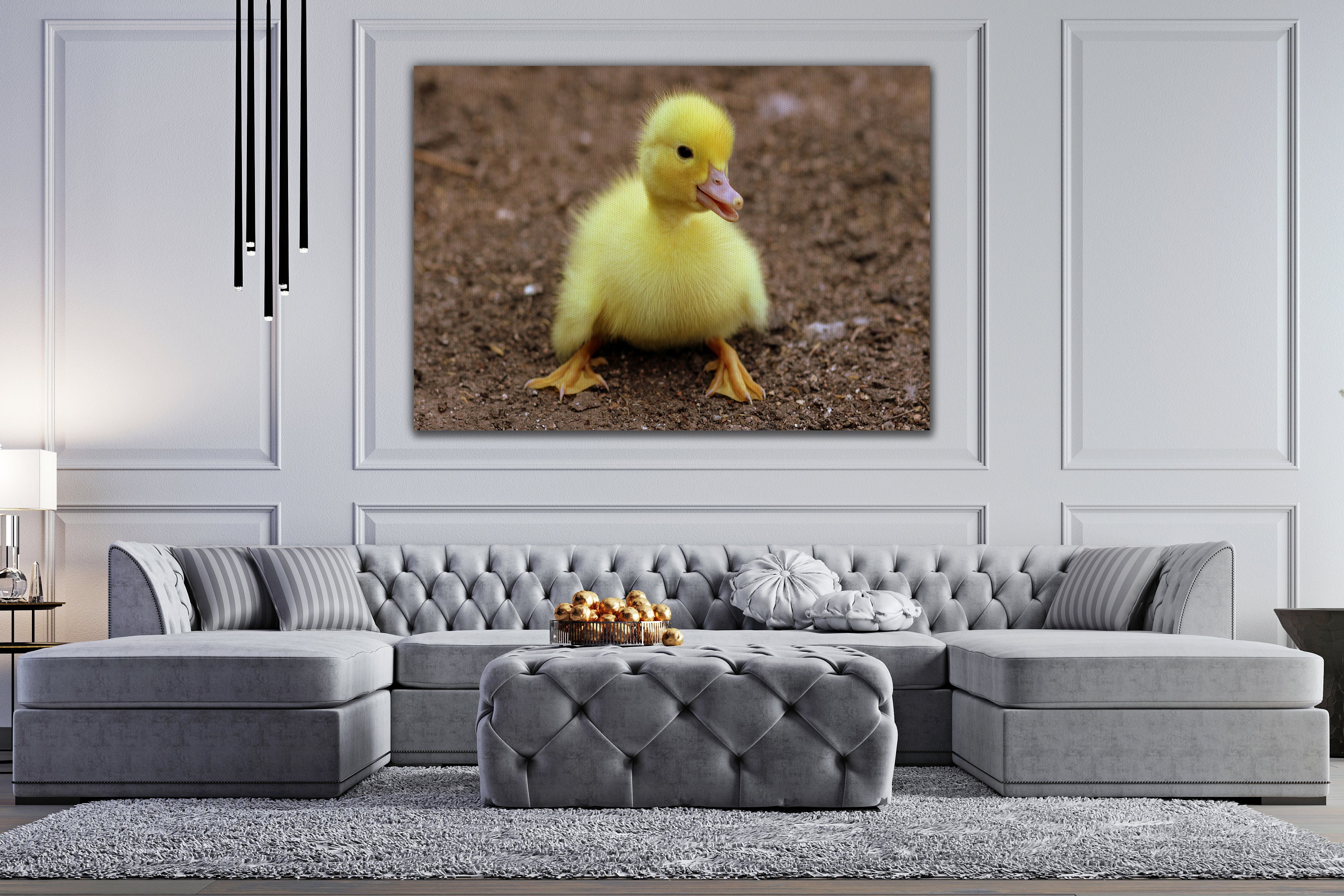 Baby Duck, Canvas Wall Art Print | Poster Print Decor for Home & Office ...