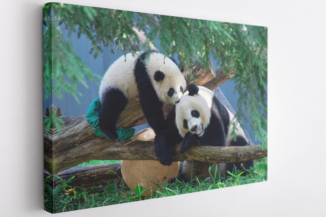 Cute Panda, Canvas Wall Art Print | Poster Print Decor for Home ...
