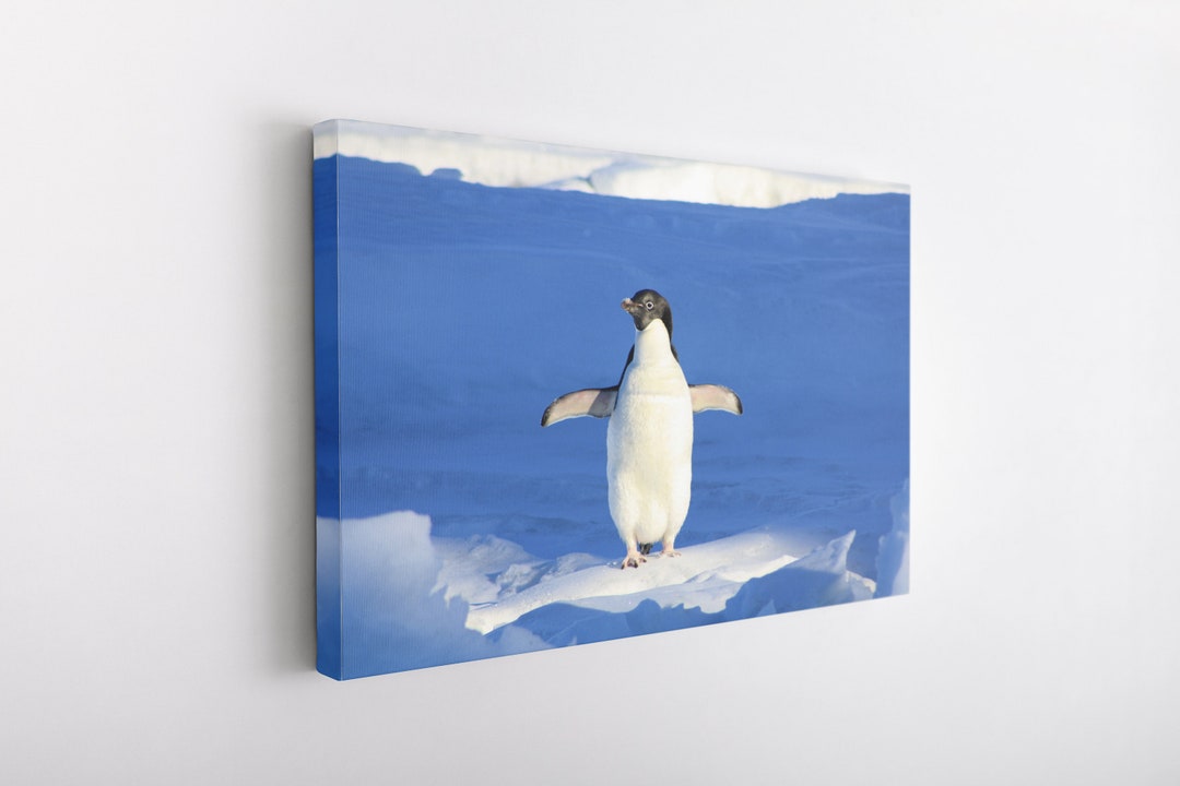 Sweet Penguin, Canvas Wall Art Print | Poster Print Decor for Home ...