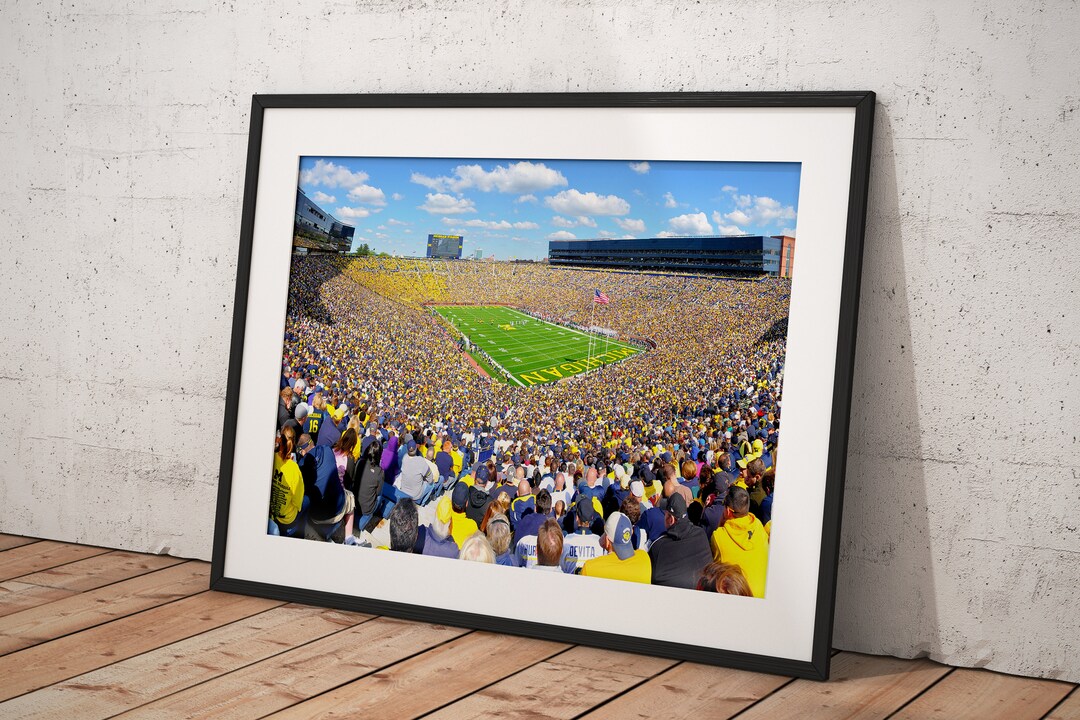Michigan State Spartans Stadium, Poster Framed Room Decor, Home Decor ...