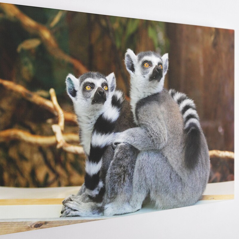 Lemur Print - Etsy