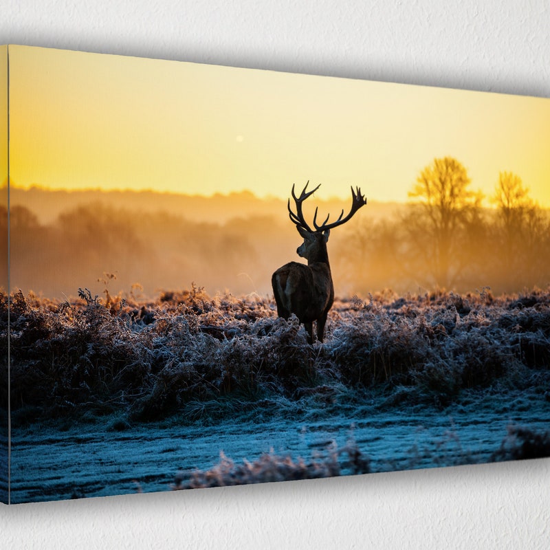 Deer Canvas Art - Etsy