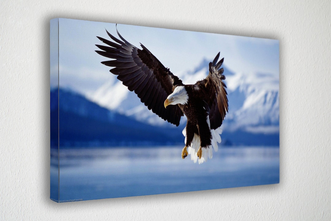 Flying Bald Eagle, Canvas Wall Art Print | Poster Print Decor for Home ...