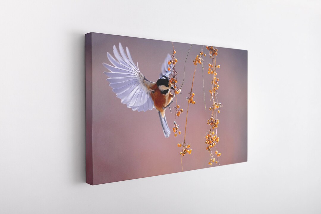 Amazing Bird, Canvas Wall Art Print | Poster Print Decor for Home ...