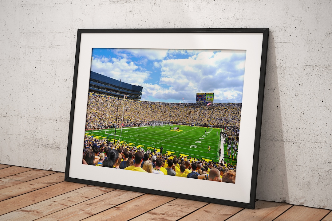 Michigan State Spartans Stadium, Poster Framed Room Decor, Home Decor ...