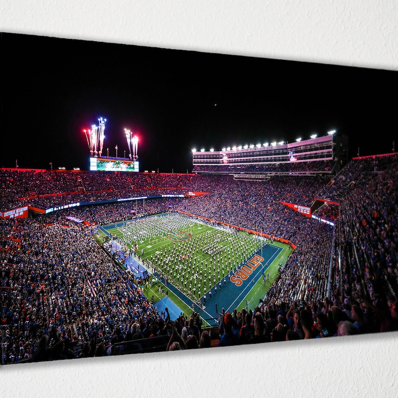 Florida Gators Art - Etsy