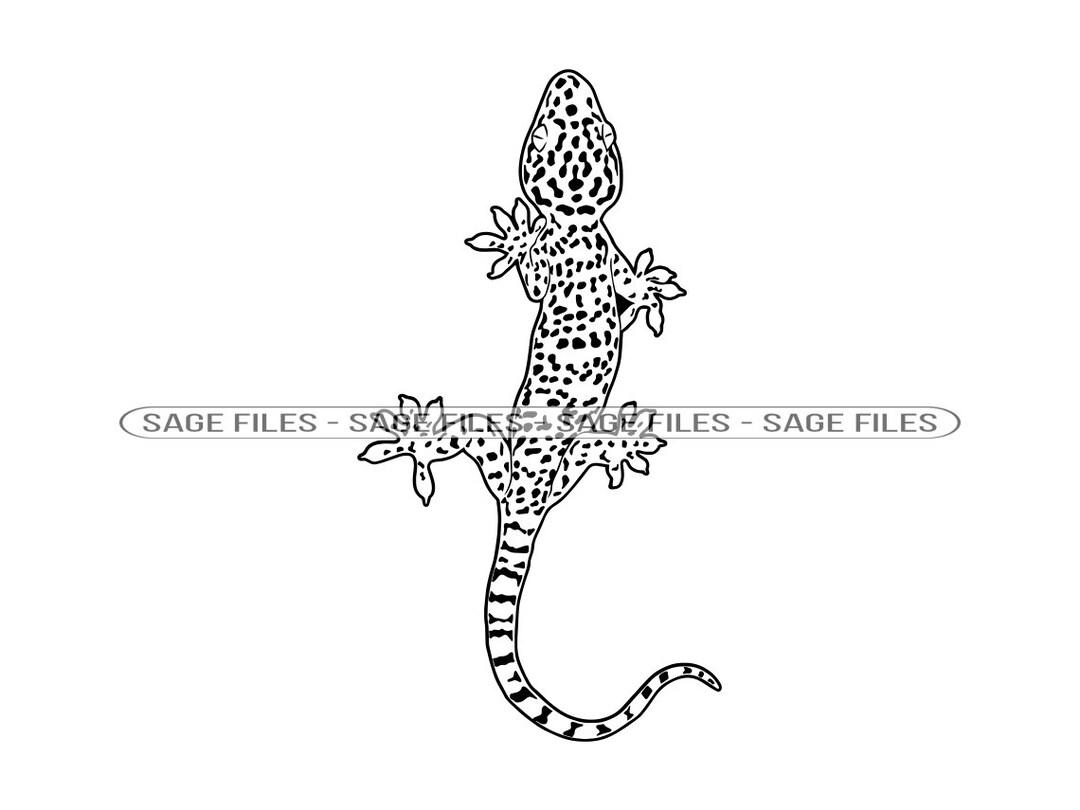 Lizard Logo 3 SVG, Lizard Svg, Reptile Svg, Lizard Clipart, Lizard ...