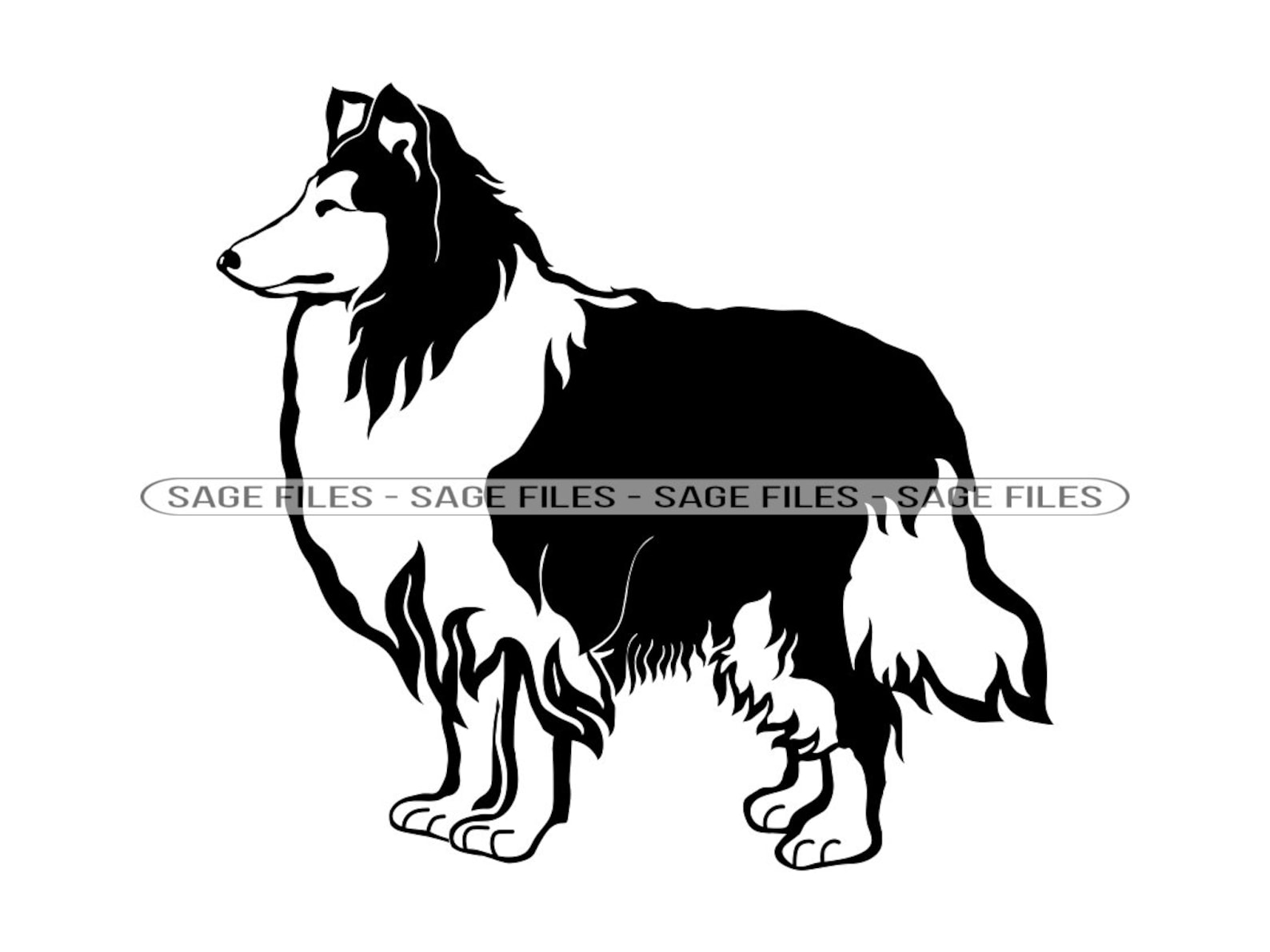 Collie SVG, Rough Collie Svg, Dog Svg, Collie Clipart, Collie Files for ...