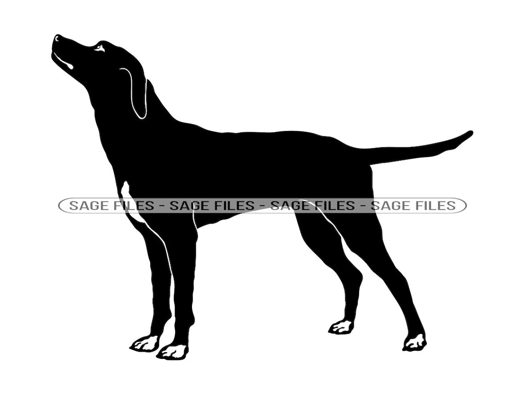 Mountain Cur SVG, Dog Svg, Mountain Cur Clipart, Mountain Cur Files for ...