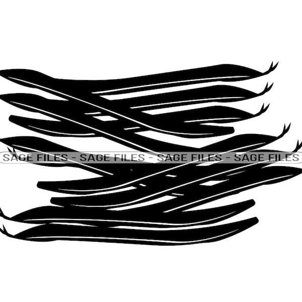 The Green Beans Svg - Etsy Australia