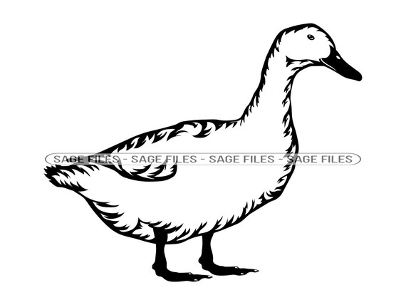 Duck 5 SVG Duck Svg Duck Clipart Duck Files for Cricut - Etsy