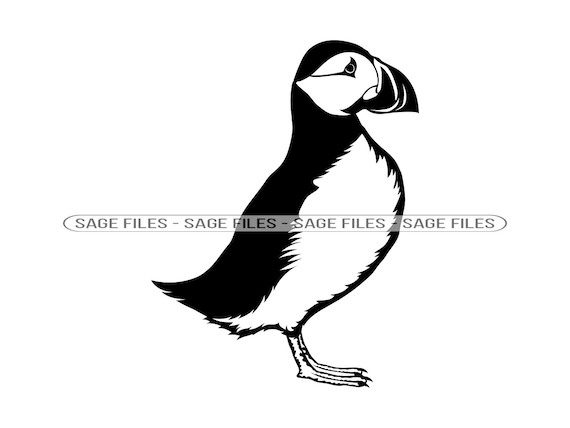 Puffin SVG Bird Svg Puffin Clipart Puffin Files for Cricut - Etsy