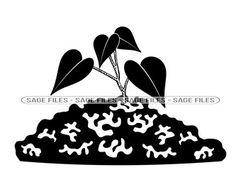 Plant Sprout Svg - Etsy