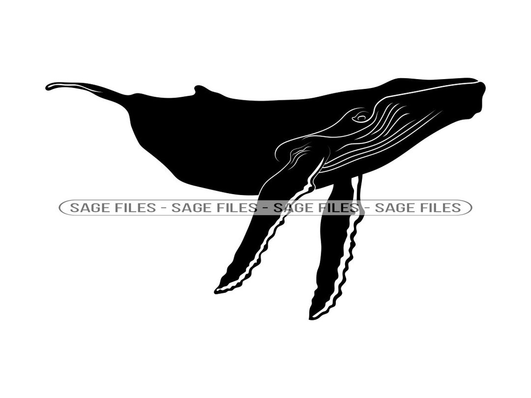 Humpback Whale 5 SVG Humpback Whale SVG Humpback Whale - Etsy