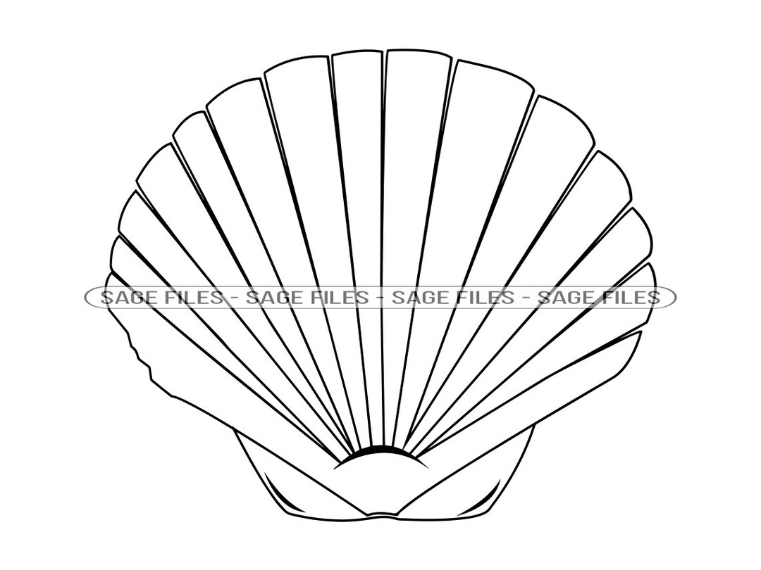 Seashell 4 SVG, Sea Shell SVG, Nautical SVG, Ocean Svg, Seashell ...
