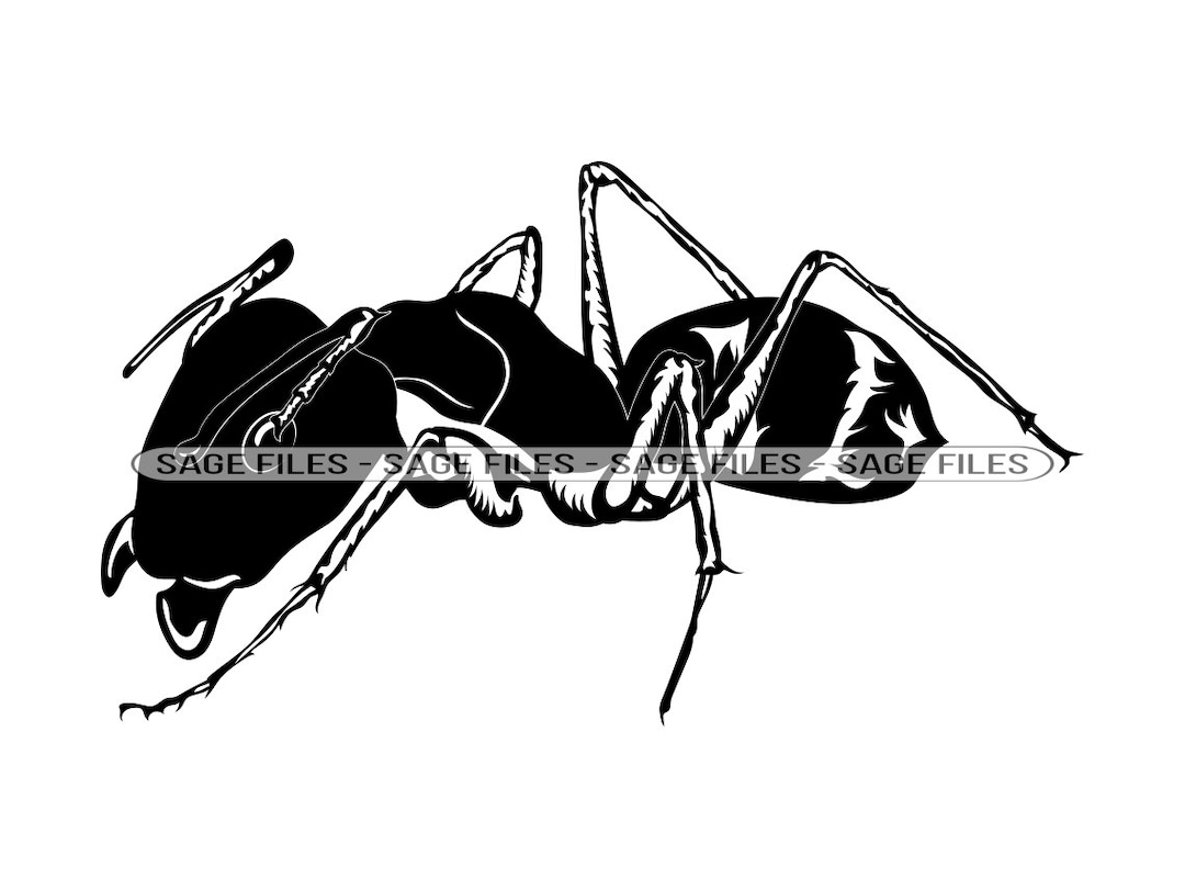 Giant Ant SVG, Ant SVG, Insect Svg, Ant Clipart, Ant Files for Cricut ...