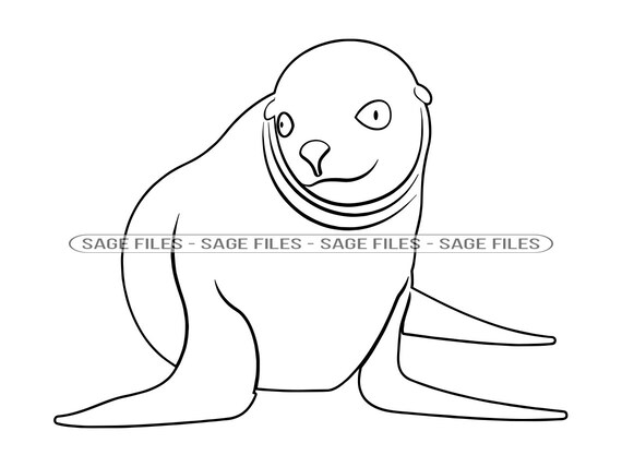 California Sea Lion Outline SVG Seal Svg Sea Lion Clipart - Etsy Finland