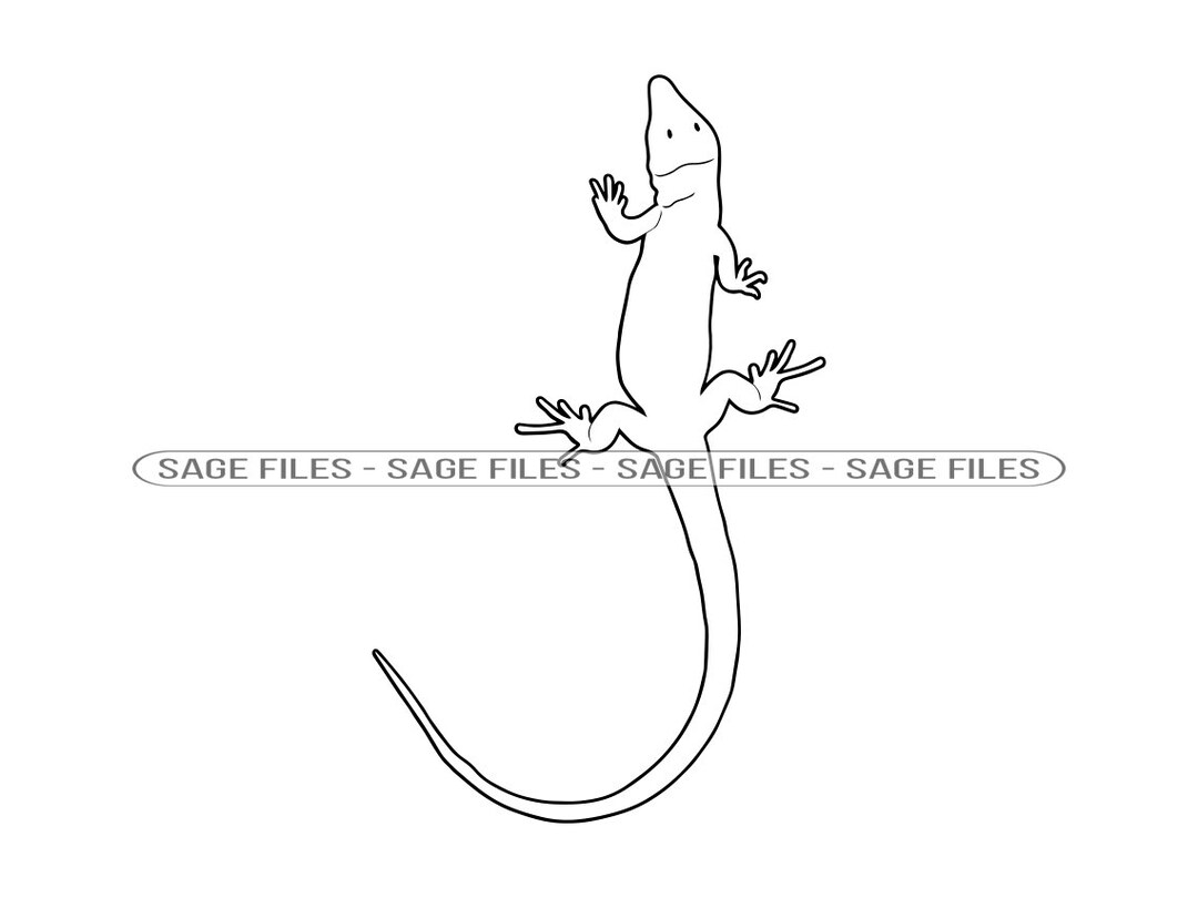 Lizard Outline SVG, Lizard Svg, Reptile Svg, Lizard Clipart, Lizard ...