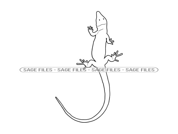 Lizard Outline SVG Lizard Svg Reptile Svg Lizard Clipart - Etsy Australia