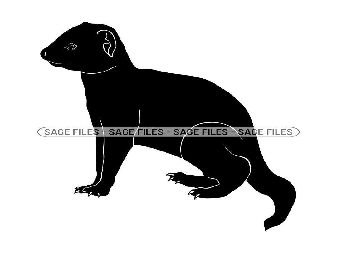 Mongoose SVG, Mongoose Clipart, Mongoose Files for Cricut, Mongoose Cut ...