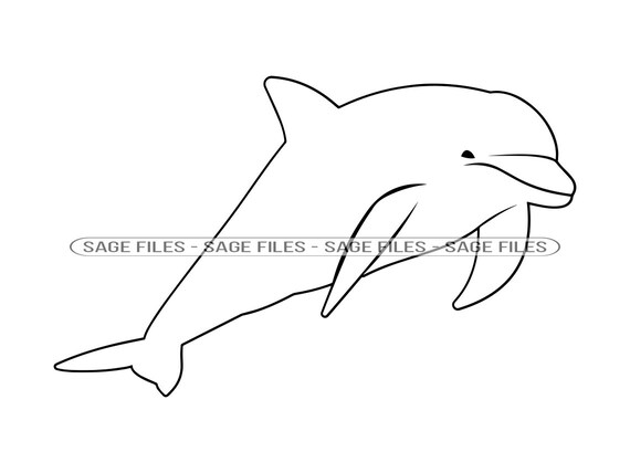 Dolphin Outline