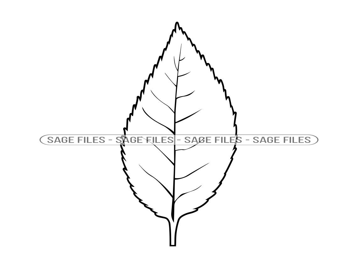 Blatt Umriss 4 SVG Blatt SVG Blatt Clipart BlattDateien - Etsy.de