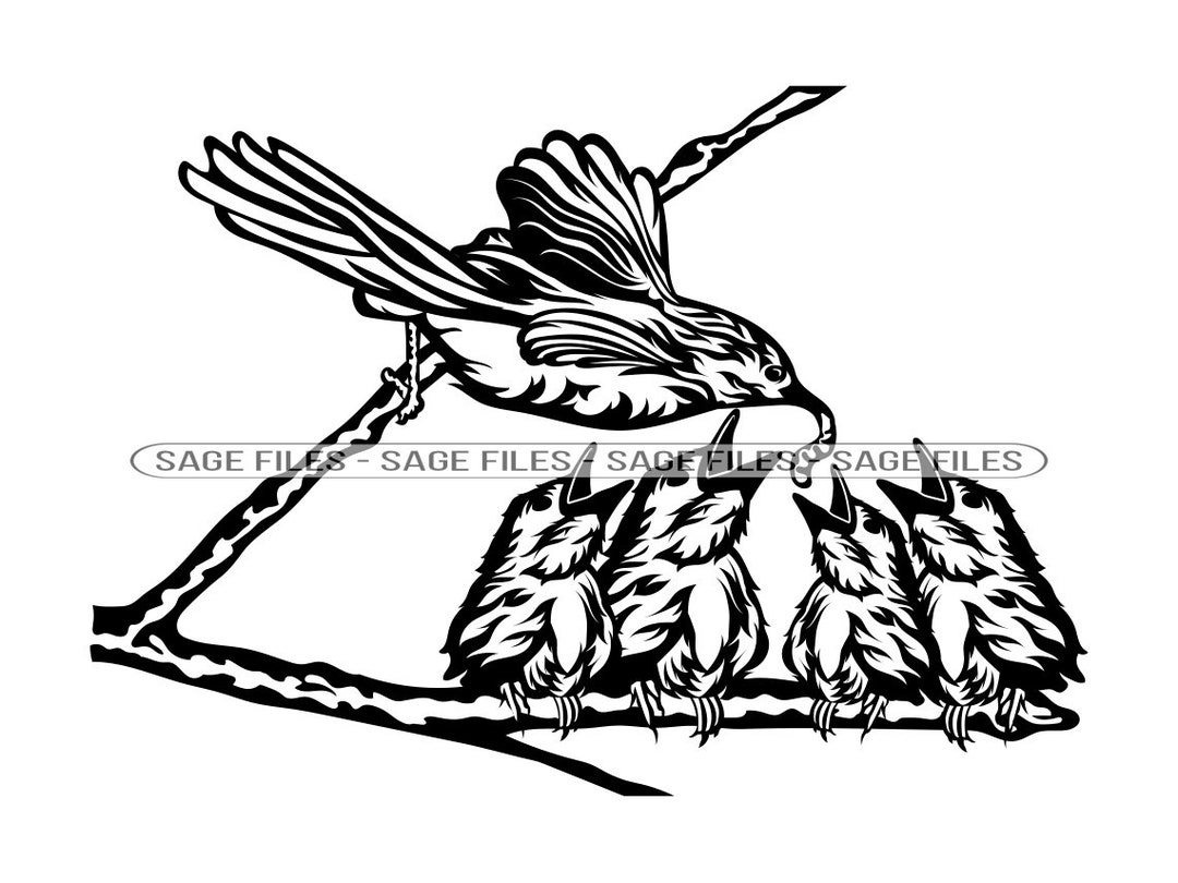 Mother Bird Feeding Chicks SVG, Bird Svg, Mama Bird Svg, Baby Bird Svg ...
