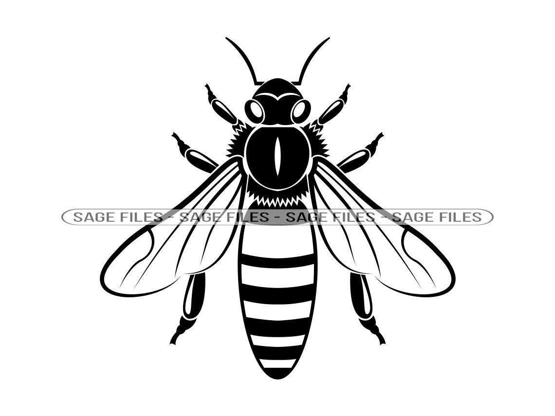 Bee 14 SVG Bee Svg Queen Bee Svg Honey Svg Bee Clipart - Etsy