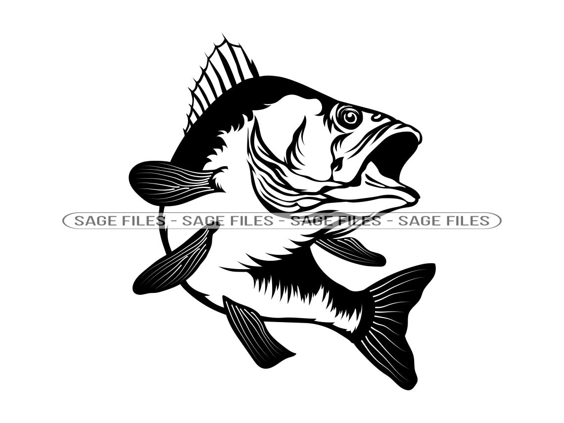 Perch 2 SVG Perch SVG Fishing Svg Fish Svg Fishing - Etsy Ireland