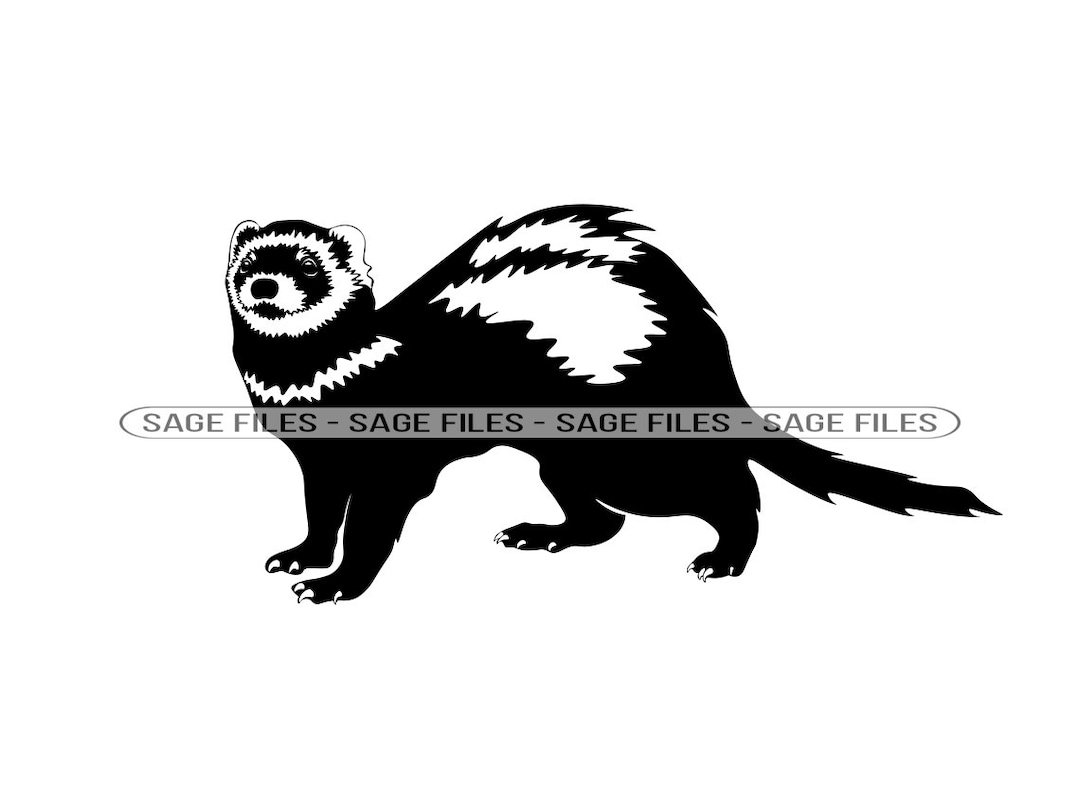Ferret #6 SVG, Ferret SVG, Ferret PNG, Ferret Design, Ferret Clipart ...