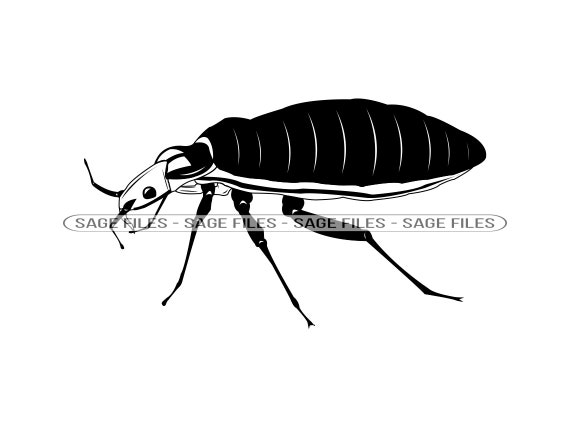 Bed Bug 2 SVG Bed Bugs Bed Bug Clipart Bed Bug Files for - Etsy