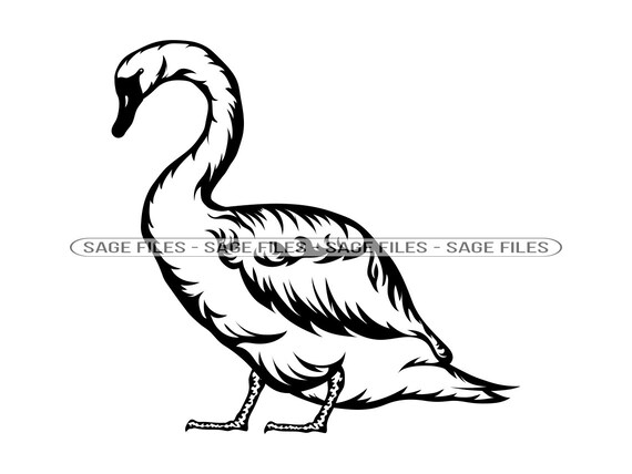 Swan 4 SVG Swan SVG Swan Clipart Swan Files for Cricut - Etsy