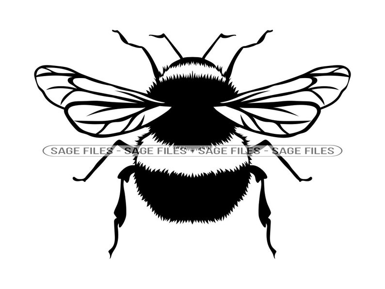 Bumblebee 2 SVG, Bumblebee Svg, Bee Svg, Bumblebee Clipart, Bumblebee ...