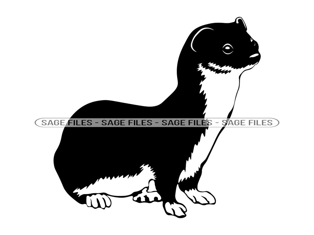 Weasel #5 SVG, Weasel SVG, Weasel PNG, Weasel Design, Weasel Clipart ...