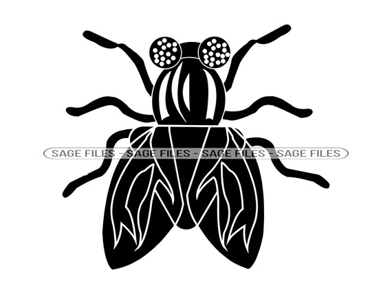 Fly 8 SVG Fly Svg Flies Svg Insect Svg Fly Clipart Fly - Etsy Australia
