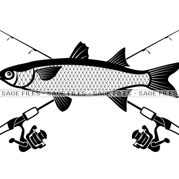 Mullet Fish Png - Etsy