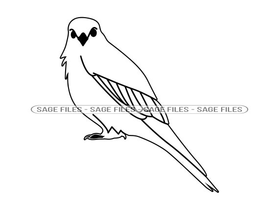 Kestrel Outline SVG Kestrel SVG Bird Svg Kestrel Clipart - Etsy España